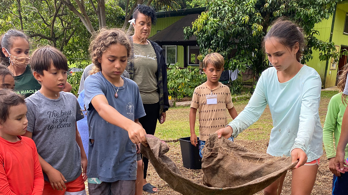 IMLS Invests an Additional $5.9M to Support and Improve Essential ...